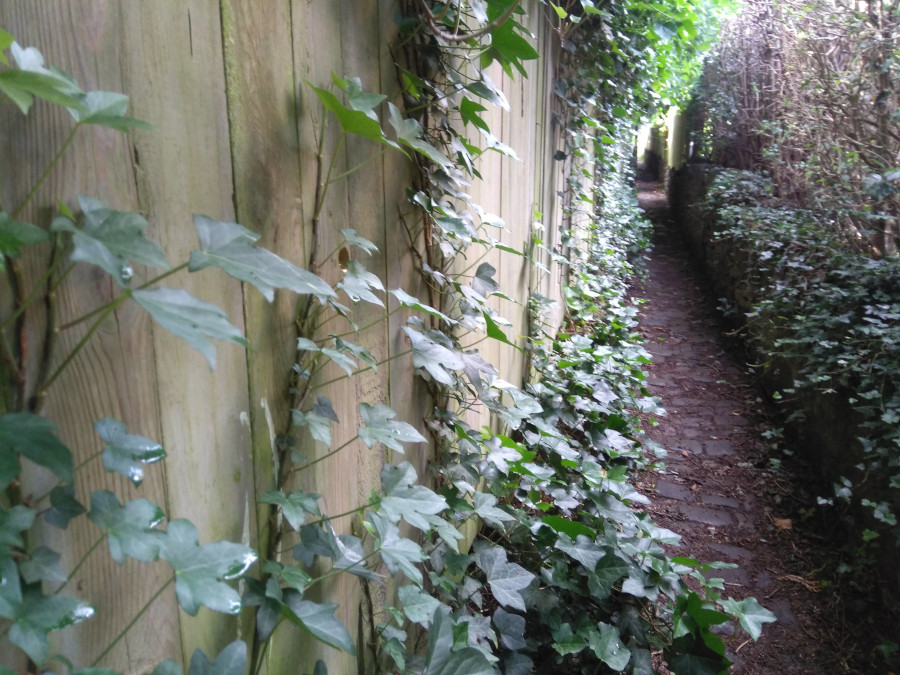 Ranmoor Gennel – Sheffield Cycling Climbs